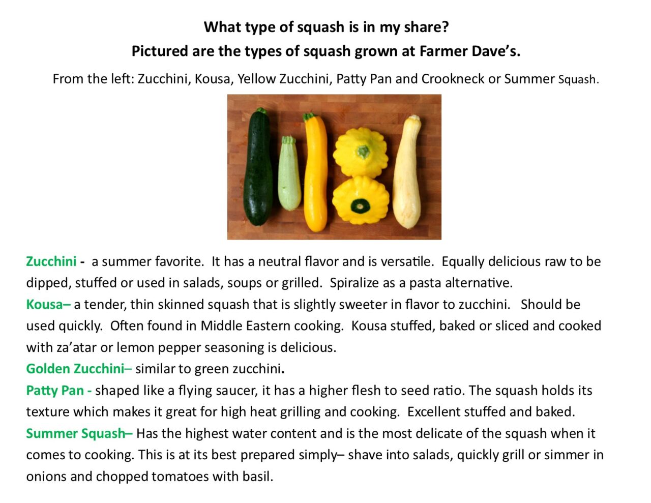 How to Store Summer Squash - farmerdaves.net